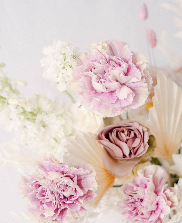 THE COCOPLUM - Julia Rohde Designs