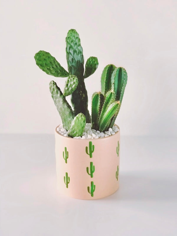 Plants + Planters - Julia Rohde Designs